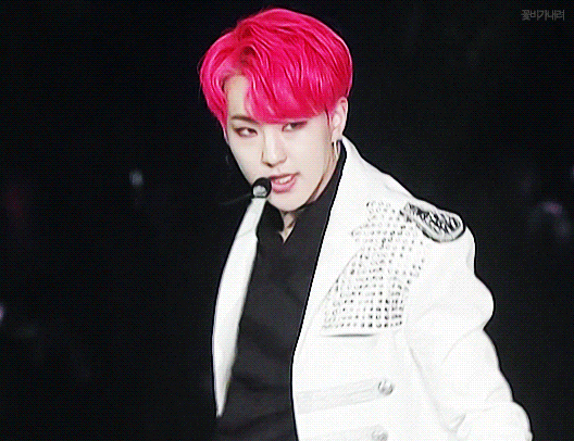 ㄱ 수달찾는 홋공.ask - 인스티즈(instiz) 세븐틴 카테고리