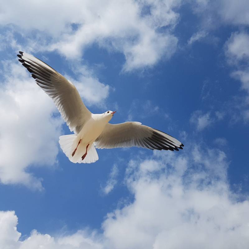 난 갈매기 40 - 인스티즈(instiz) 일상 카테고리