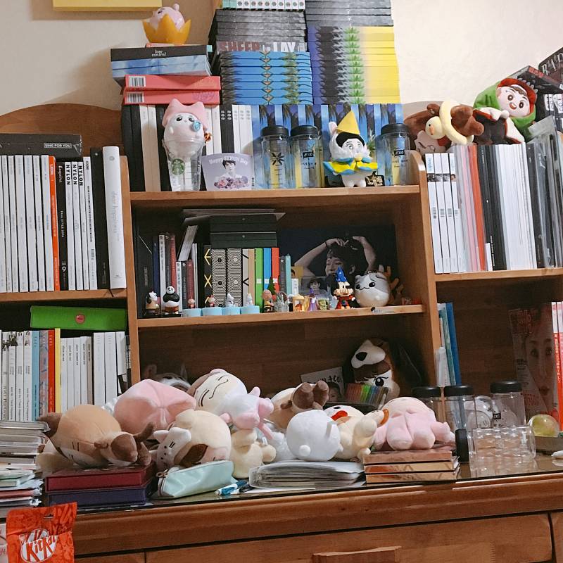 답이 없던 쓰니방, 정리, 끝이나다 - 인스티즈(instiz) 인티공방 카테고리