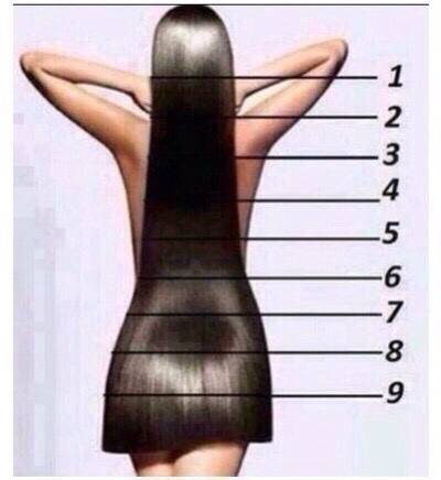 제일 원하는 머리길이가 어디야 - 인스티즈(instiz) 일상 카테고리