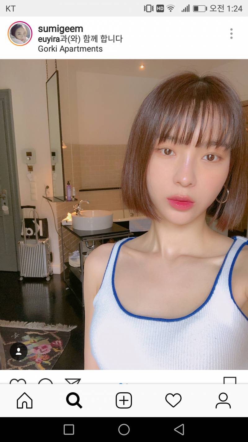 이분처럼 염색하려면 탈색해야해?? - 인스티즈(instiz) 일상 카테고리