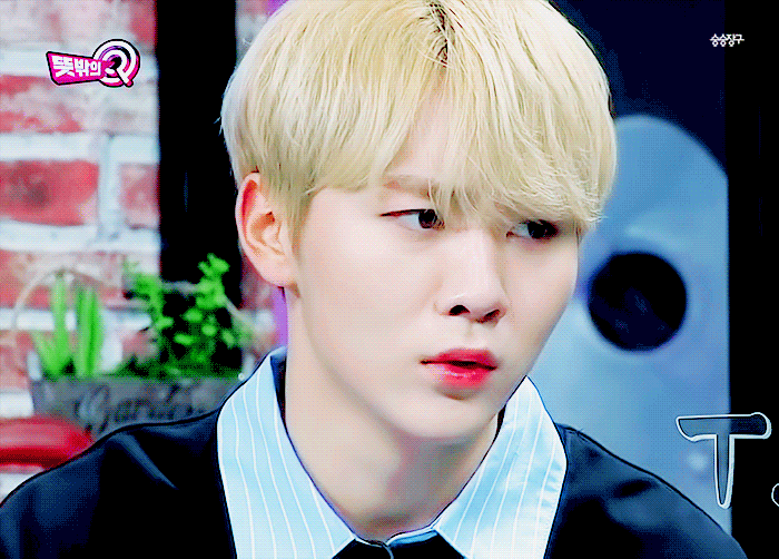 ㄱ 규'부'.ask - 인스티즈(instiz) 세븐틴 카테고리