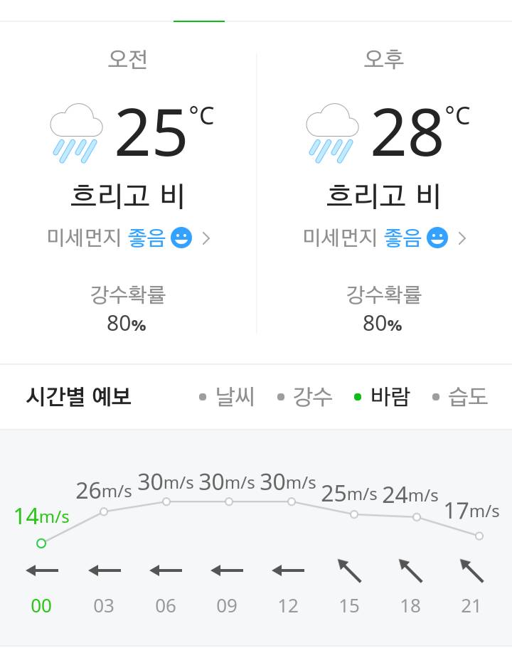 풍속 30m/s 정도면 얼마나 센거야??? - 인스티즈(instiz) 익명잡담 카테고리