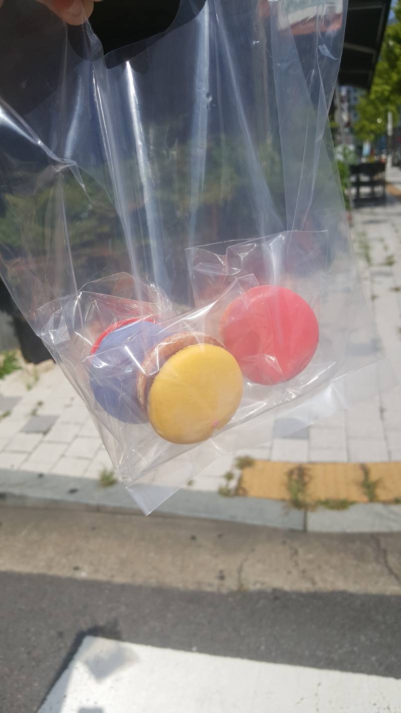 쓰니 인생 성공했다! - 인스티즈(instiz) 일상 카테고리