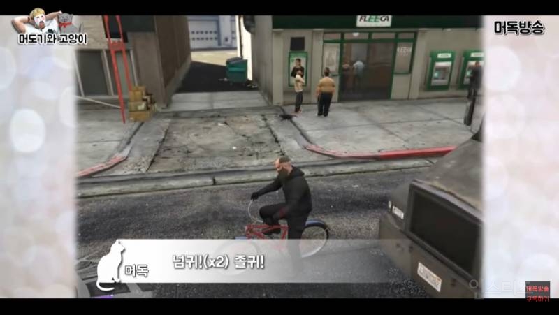 고양이를 사랑하는 남자의 GTA - 인스티즈(instiz) 인티포털 카테고리