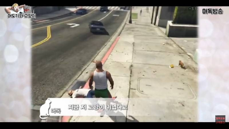 고양이를 사랑하는 남자의 GTA - 인스티즈(instiz) 인티포털 카테고리