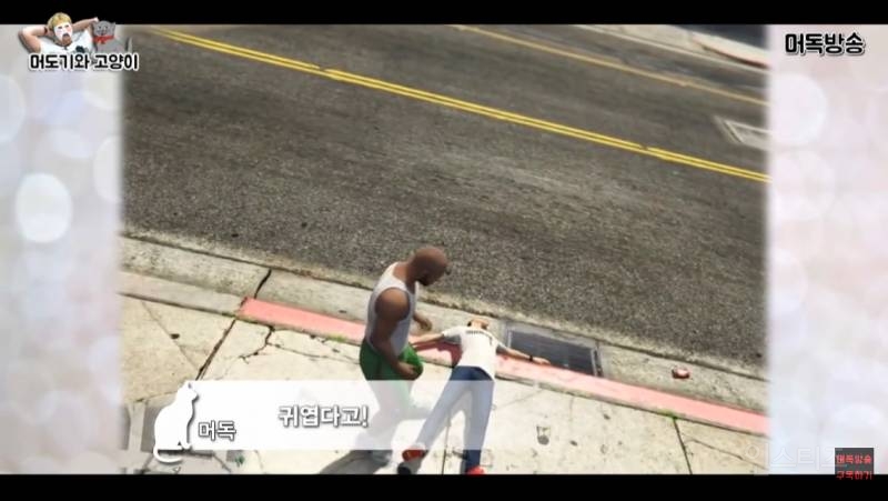 고양이를 사랑하는 남자의 GTA - 인스티즈(instiz) 인티포털 카테고리