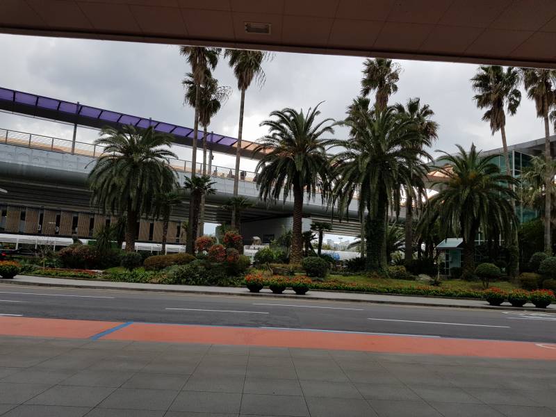 제주도 놀러왔어요 - 인스티즈(instiz) 자유잡담 카테고리