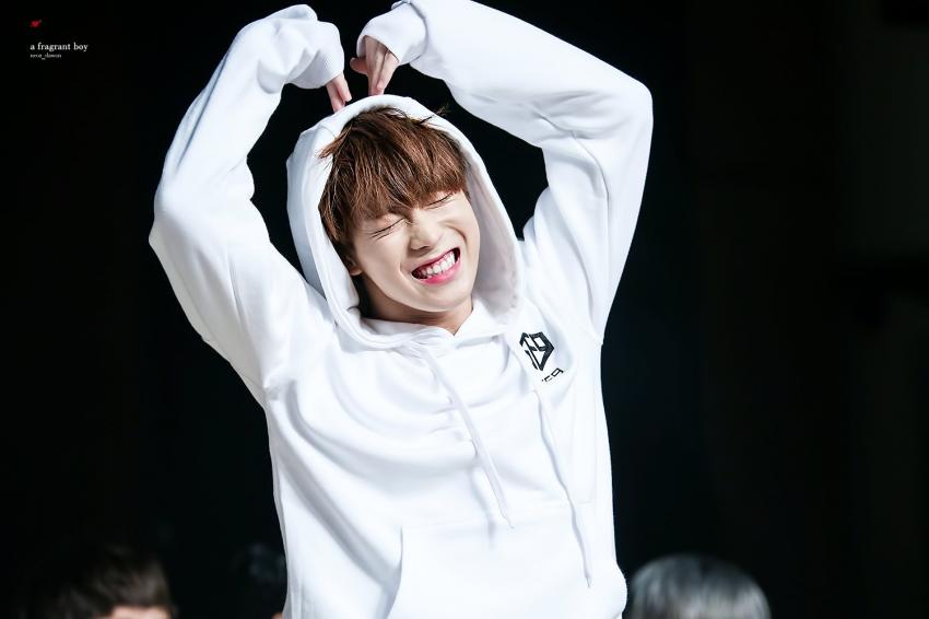 sf9 다원 제일 잘 어울리는 머리색이 뭘까 - 인스티즈(instiz) 연예 카테고리