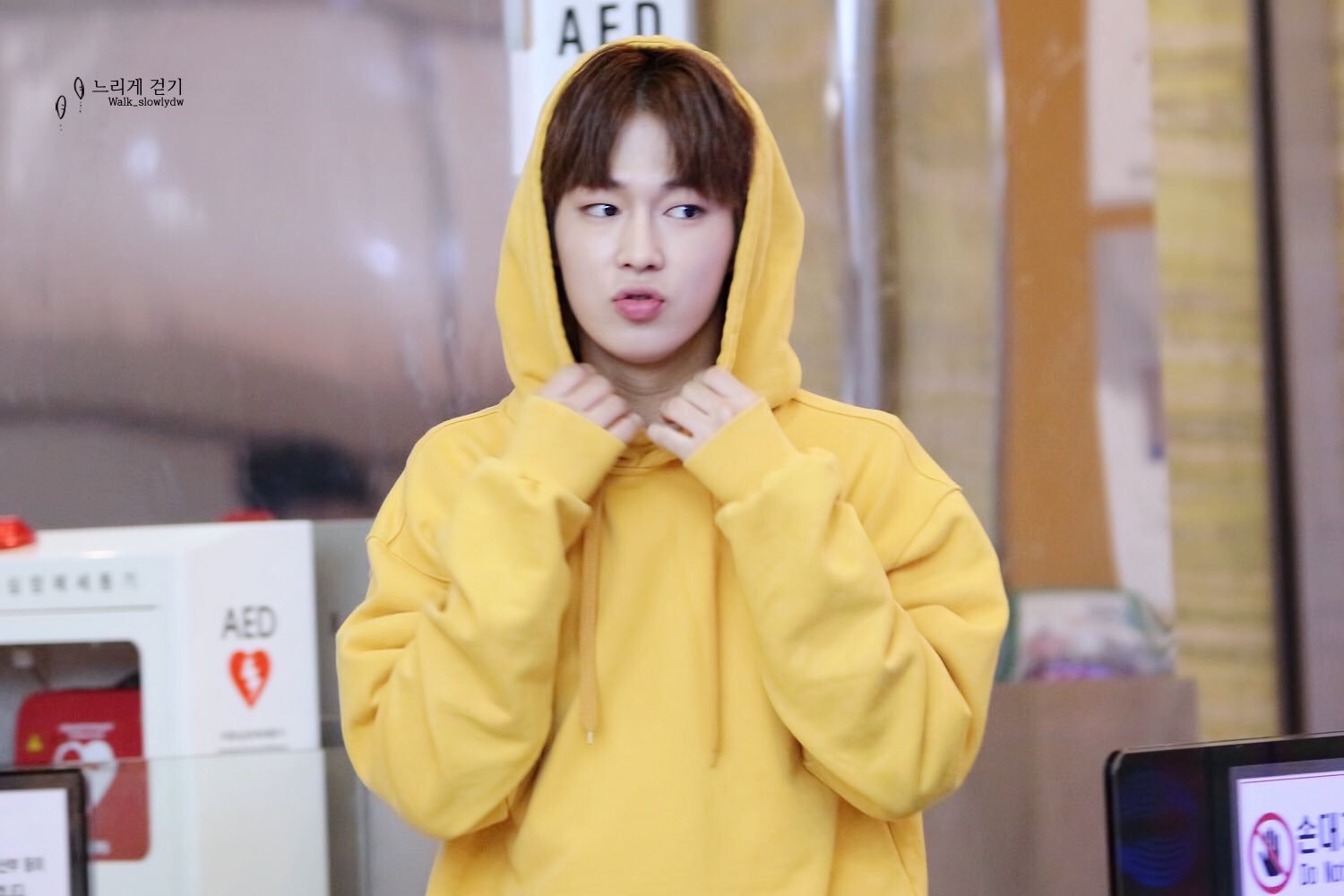 sf9 다원 제일 잘 어울리는 머리색이 뭘까 - 인스티즈(instiz) 연예 카테고리