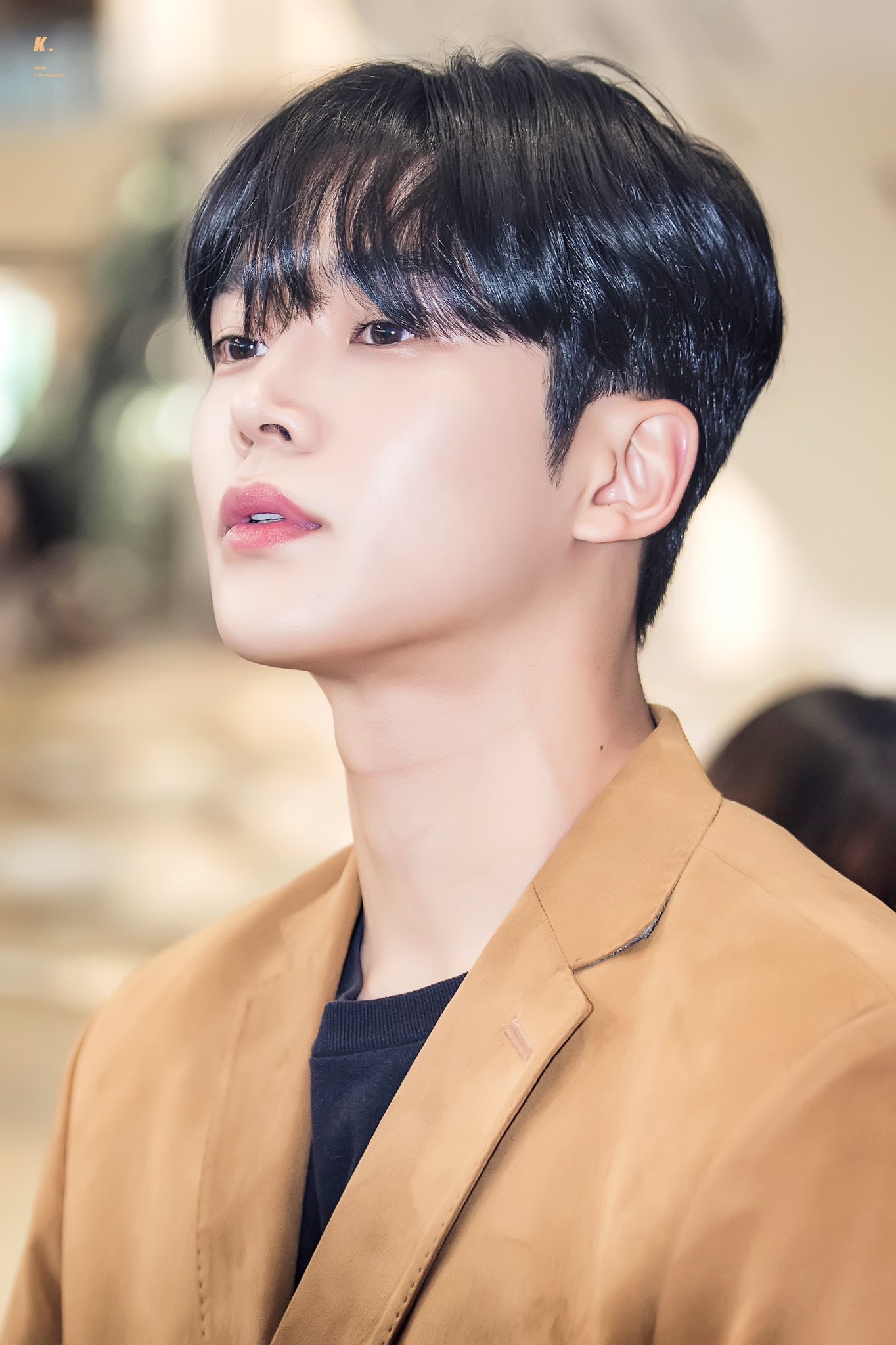 sf9 로운 고화질인데 눈코입이 다 예뽀ㅠㅠㅠㅠㅠㅠ - 인스티즈(instiz) (K)POP/예능 카테고리