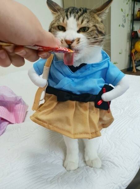 다봉이 이 짤 뭐야 ㅋㅋㅋㅋㅋㅋㅋㅋ - 인스티즈(instiz) 양띵TV 카테고리