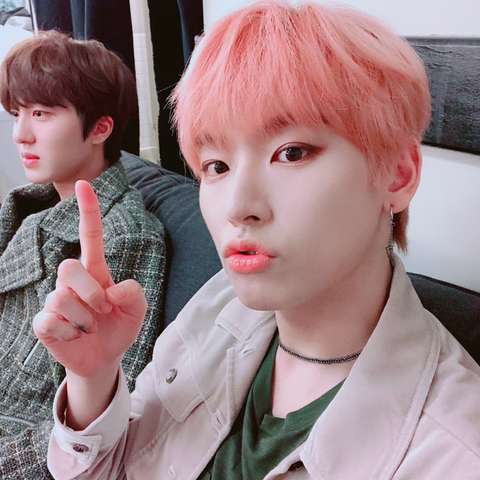 🐱아기고양이 인성 사진 모음🐱 - 인스티즈(instiz) SF9 카테고리