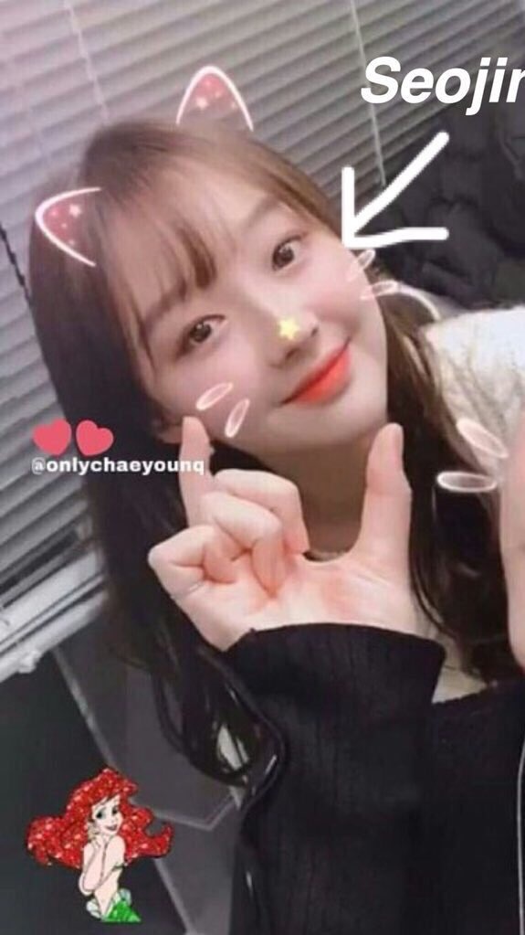 SM연습생 출신 YG 여자연습생 - 인스티즈(instiz) 연예 카테고리