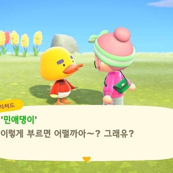 먹보 주민 리처드 vs 브로콜리 vs 리키 - 인스티즈(instiz) 동물의숲 카테고리