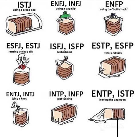 Entp랑 istp 공통점이 있나?? - 인스티즈(instiz) 일상 카테고리