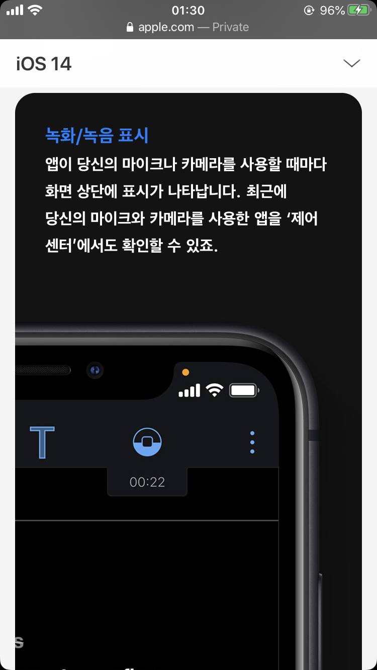 👉🏻👉🏻👉🏻👉🏻👉🏻iOS 14 업데이트 이후 화면 위 쪽에 점 뜨는 이유 - 인스티즈(instiz) 일상 카테고리