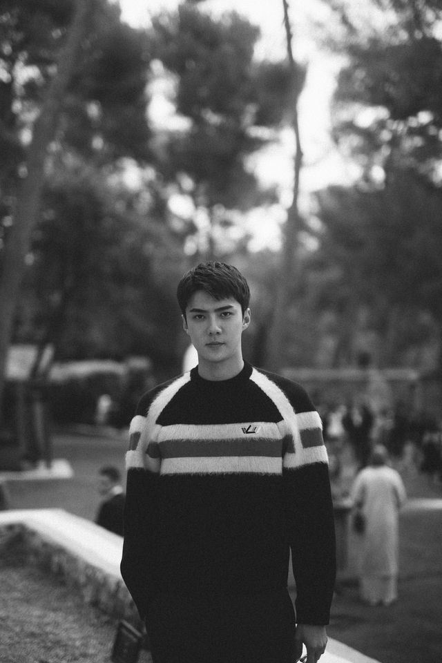 세훈을 향한 LVMH(루이비통 모에 헤네시)의 사랑 정리글 - 인스티즈(instiz) (K)POP/예능 카테고리