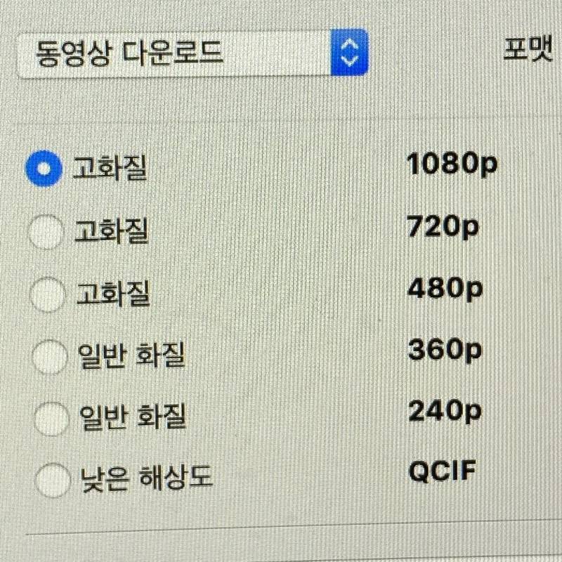 혹시 4k video downloader 쓰는 딩,,, - 인스티즈(instiz) 디자인 카테고리