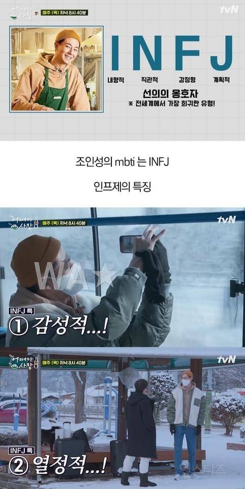 조인성과 차태현으로 보는 MBTI ST유형과 NF유형의 차이.jpg - 인스티즈(instiz) 인티포털