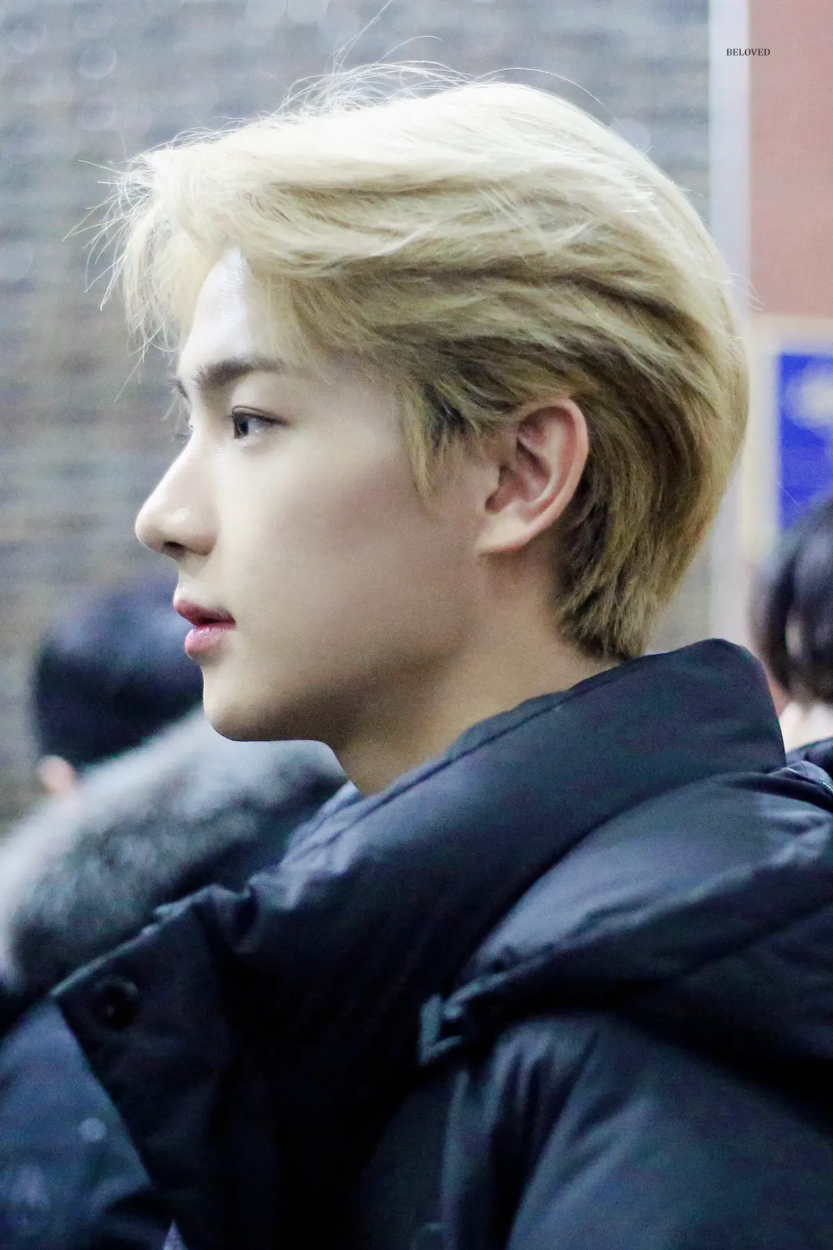 이재현 ask - 인스티즈(instiz) 픽션 카테고리