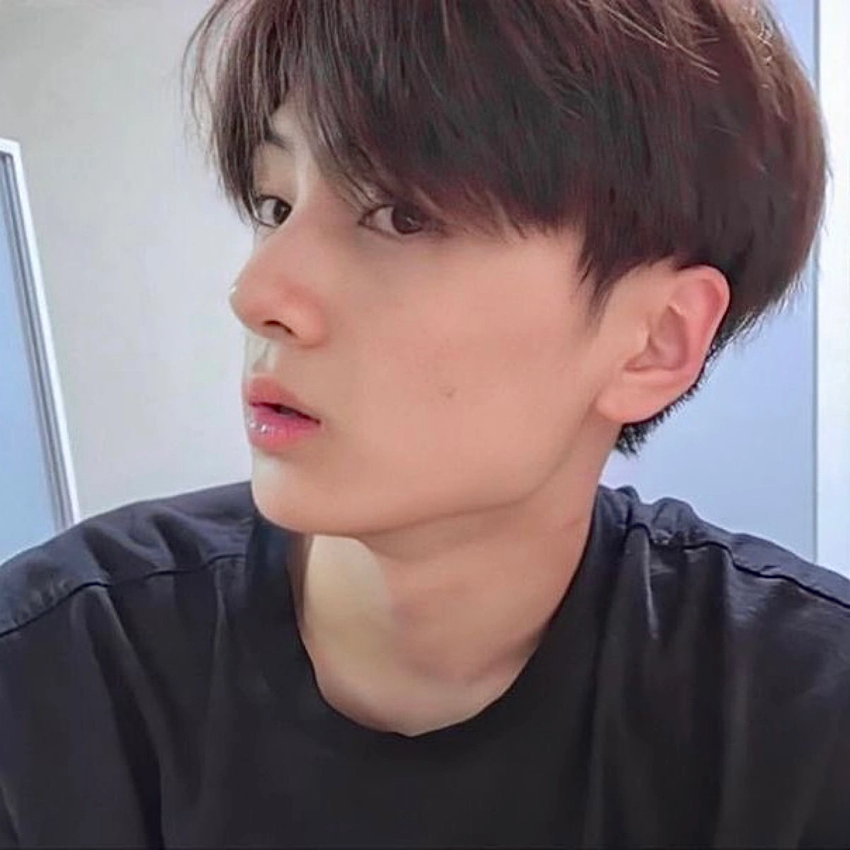 오늘 일곱 시 퇴근 ask - 인스티즈(instiz) 글잡담 F