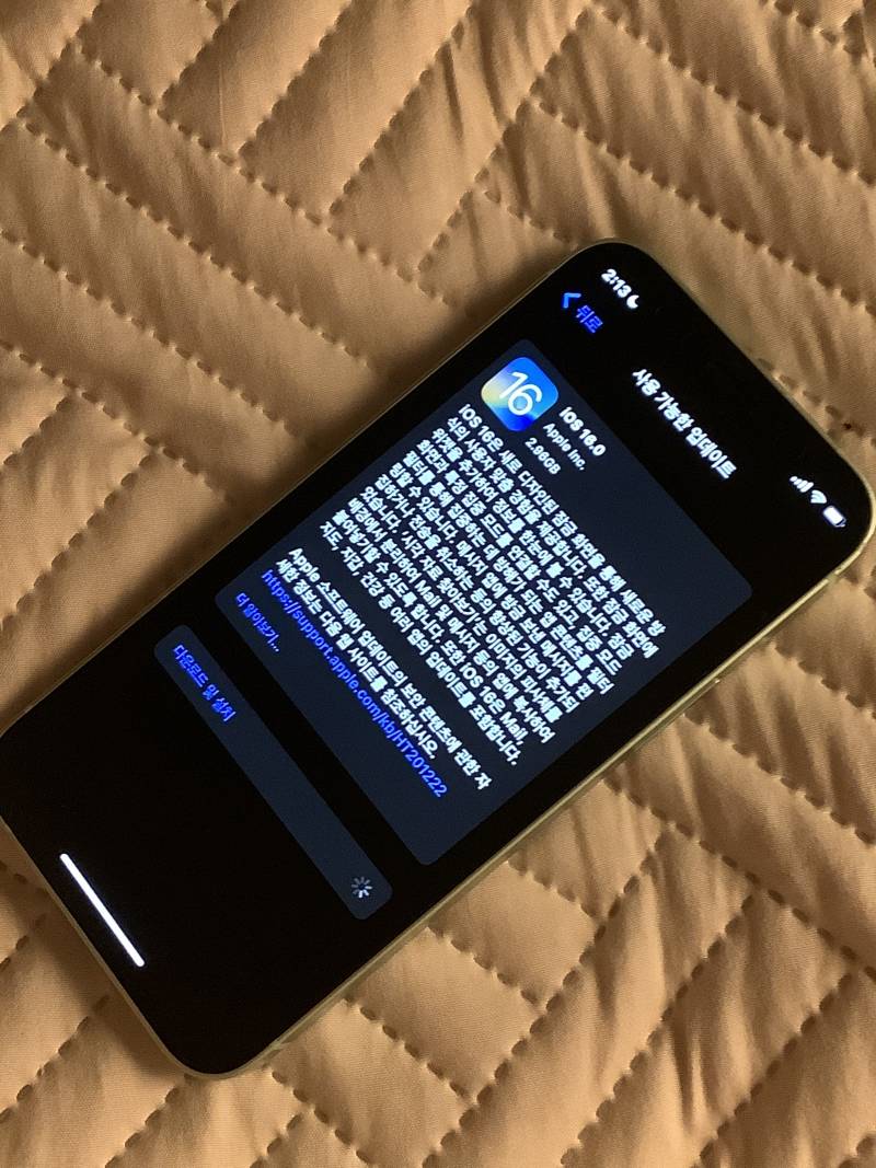 ios16 업데이트 시작,,, - 인스티즈(instiz) 익명잡담 카테고리