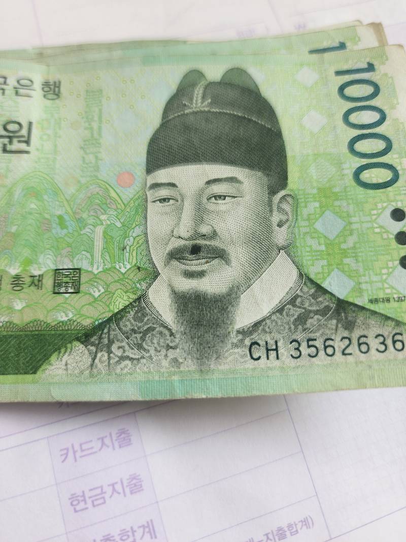 세종대왕님 수염이 탔어 - 인스티즈(instiz) 일상 카테고리