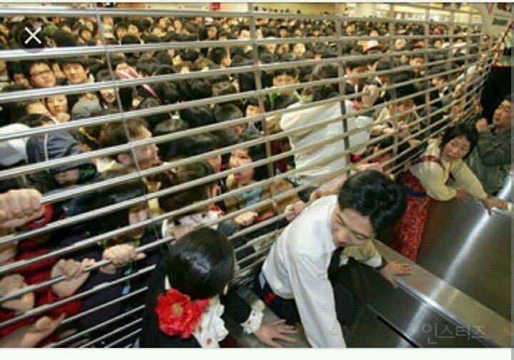 압사사고가 1건도 나오지 않은 게 기적이라는 2006 롯데월드 무료입장...jpg - 인스티즈(instiz) 인티포털 카테고리