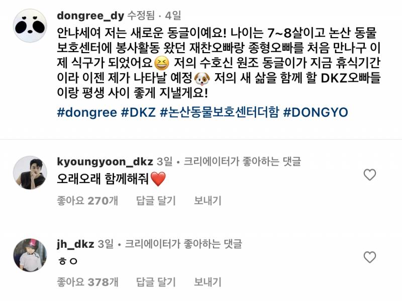 최근 강아지 입양한 DKZ - 인스티즈(instiz) 인티포털 카테고리