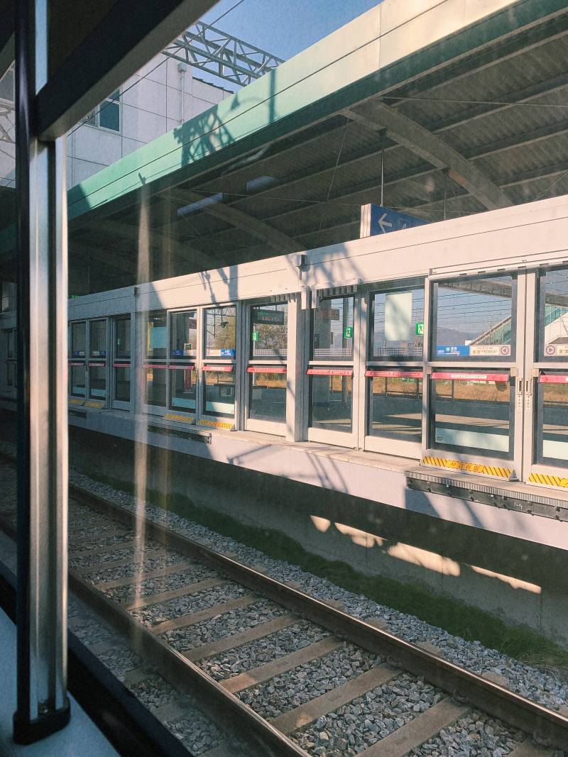 헥 손화민 카메라 어플 예쁜데????? - 인스티즈(instiz) 일상 카테고리