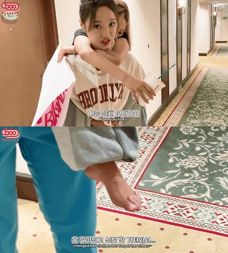 오늘도_평화로운_버가부(사실사이좋아요).mp4 - 인스티즈(instiz) 이슈 카테고리