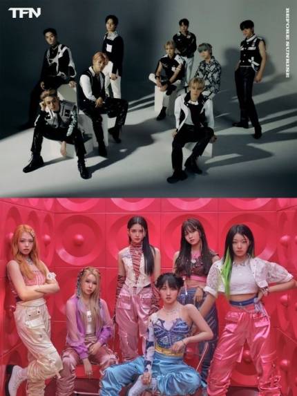 TFN·라필루스, 13일 '2022 AAA' 시상식 동반 출격 [공식] - 인스티즈(instiz) 이슈 카테고리