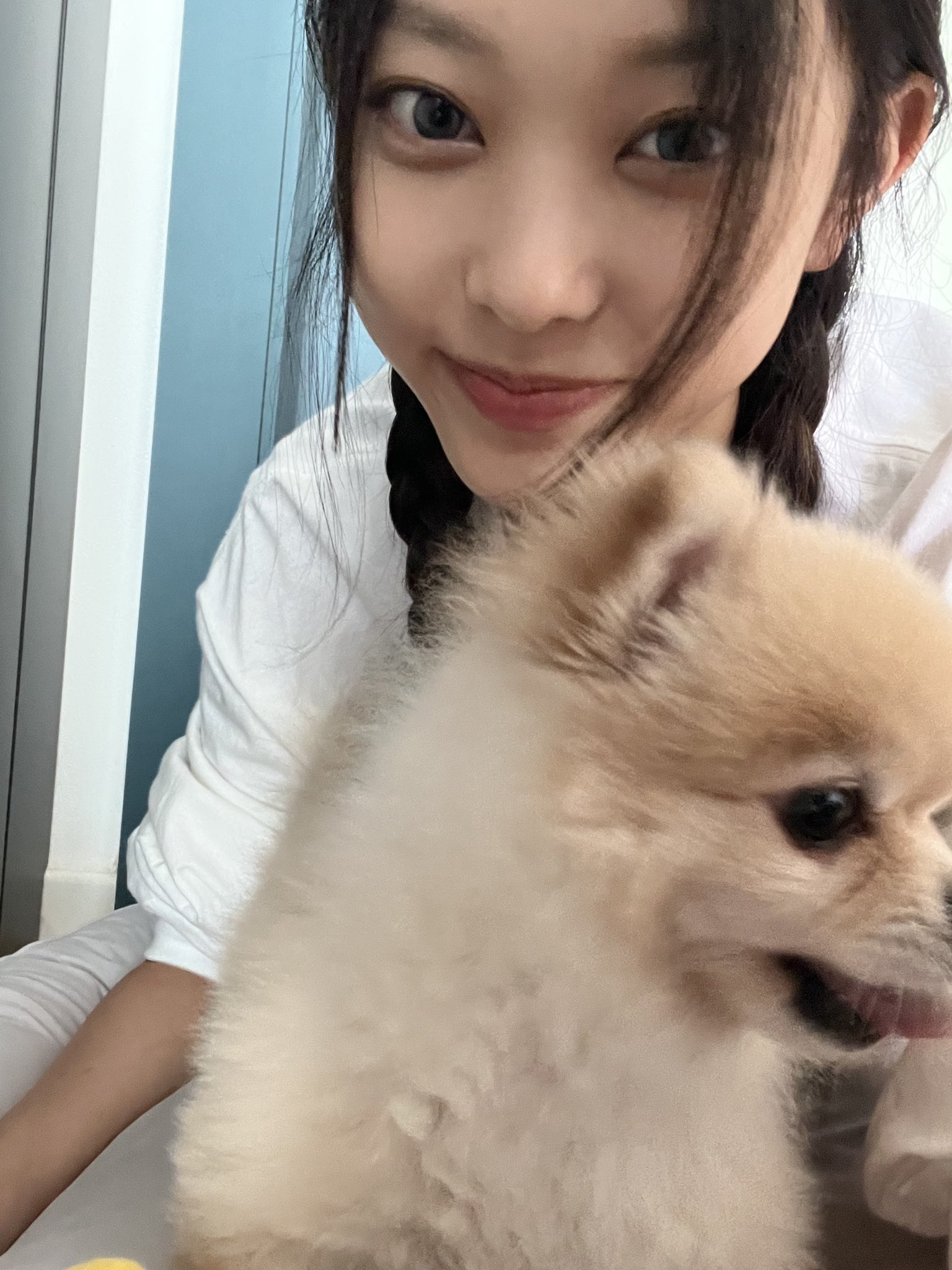 [잡담] 해린 고양이가 강아지 키우는데 이름이 방글이인거 - 인스티즈(instiz) 연예 카테고리