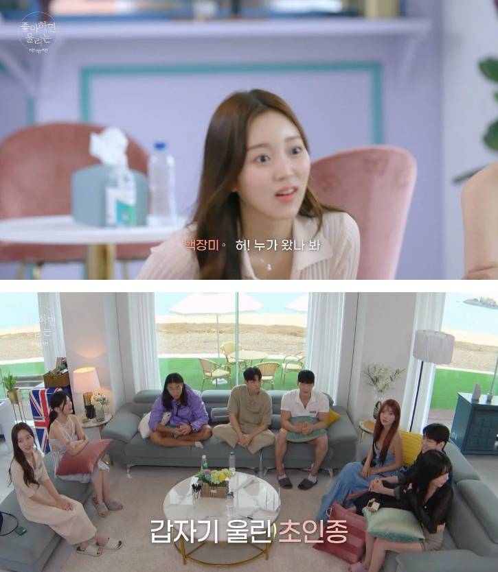 연프에 등장한 모르모트 pd - 인스티즈(instiz) 인티포털 카테고리