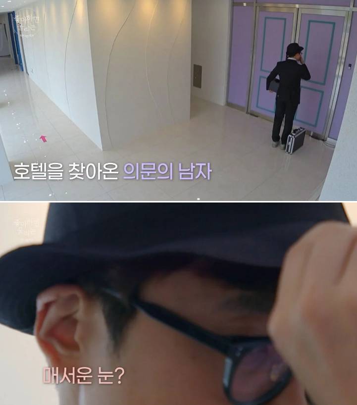 연프에 등장한 모르모트 pd - 인스티즈(instiz) 인티포털 카테고리