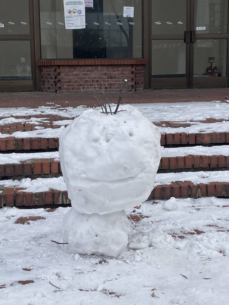 개댕청하게 생김 - 인스티즈(instiz) 일상 카테고리