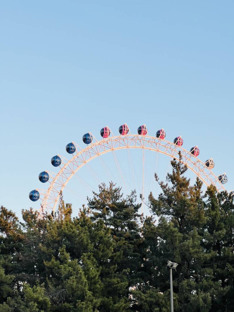 속초에서 찍은 해 + 속초아이 볼사람 - 인스티즈(instiz) 익명잡담 카테고리