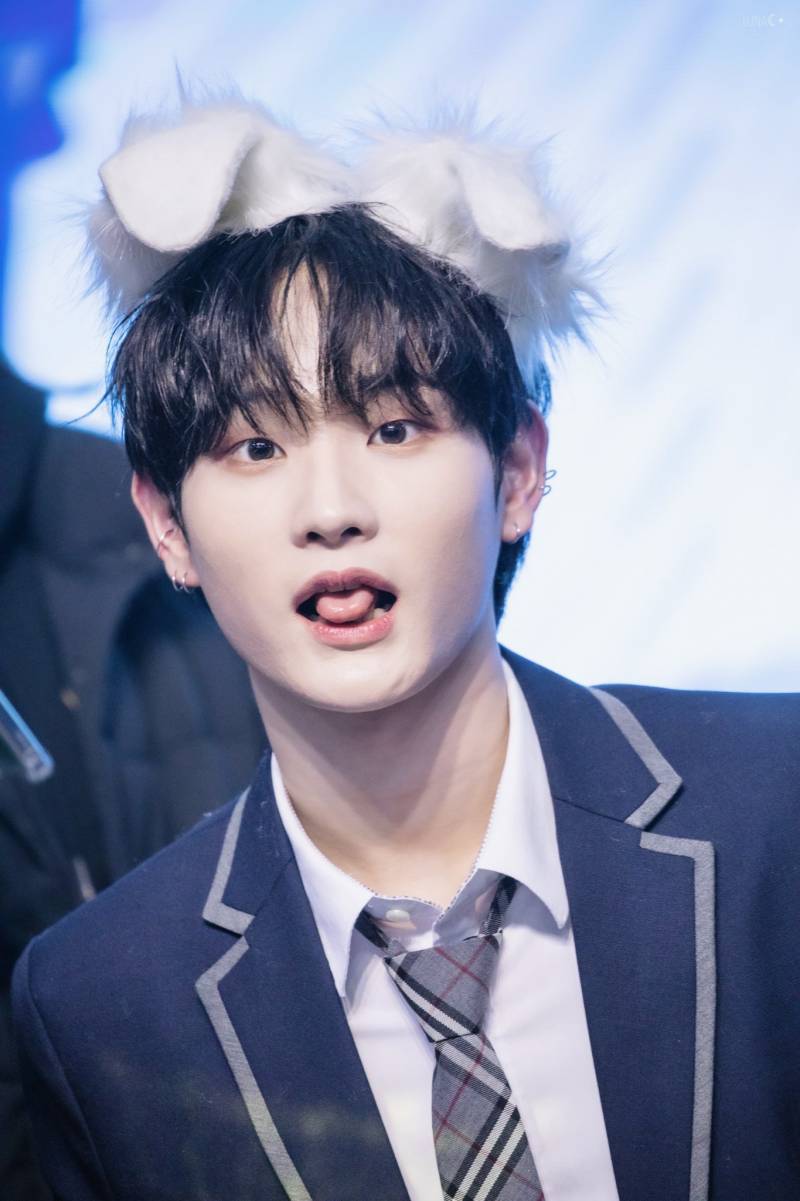 2023년에 성인 된 DKZ 막내 기석 - 인스티즈(instiz) 인티포털 카테고리