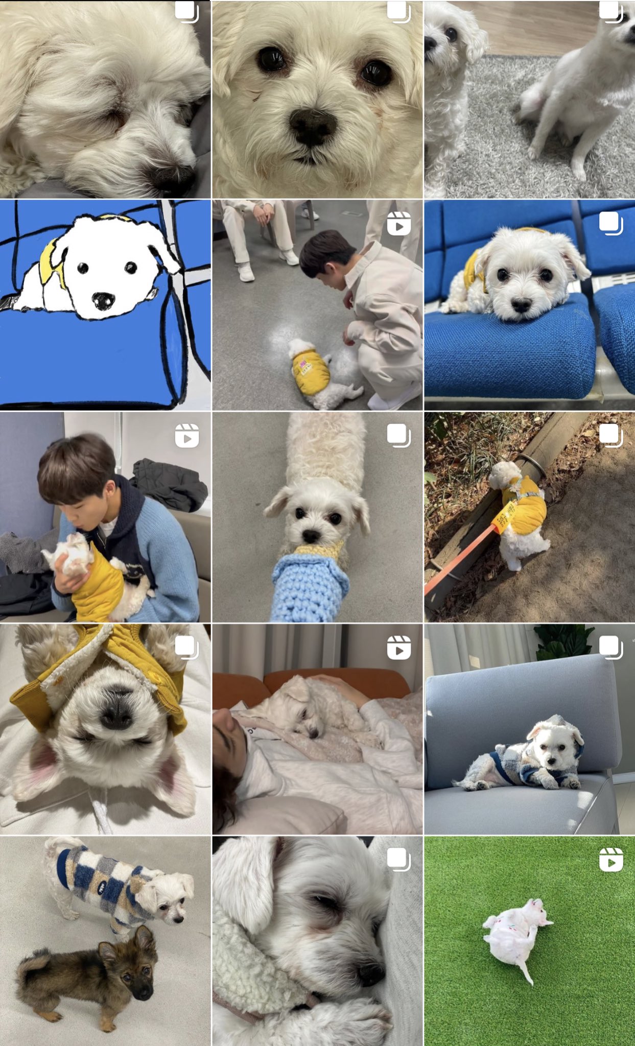 [잡담] dkz 서브계정 근황 - 인스티즈(instiz) 연예 카테고리