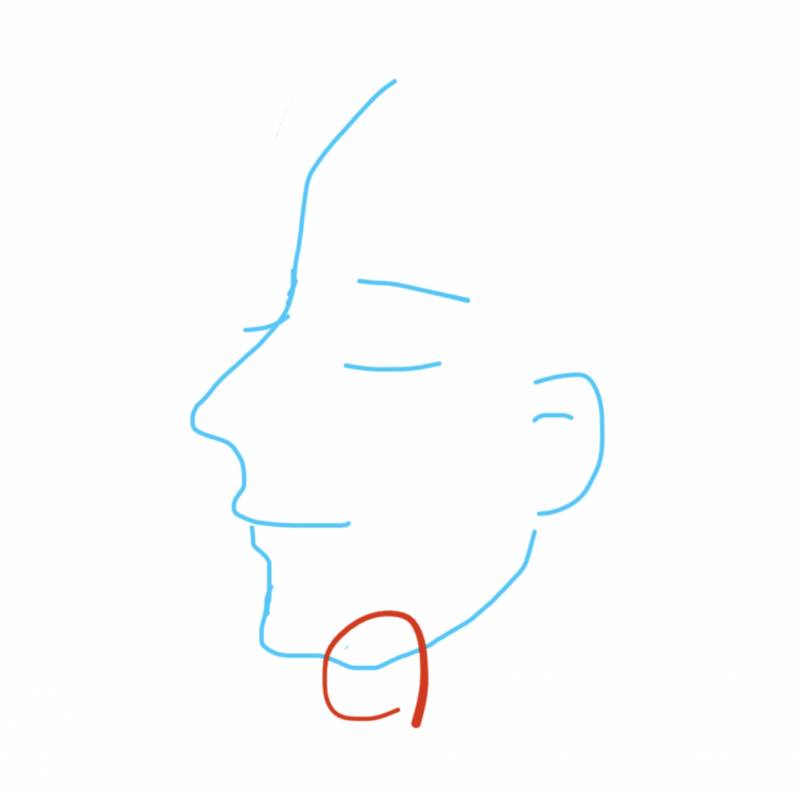 46kg까지 뺐을때도 안빠진 턱살은 - 인스티즈(instiz) 익명잡담 카테고리