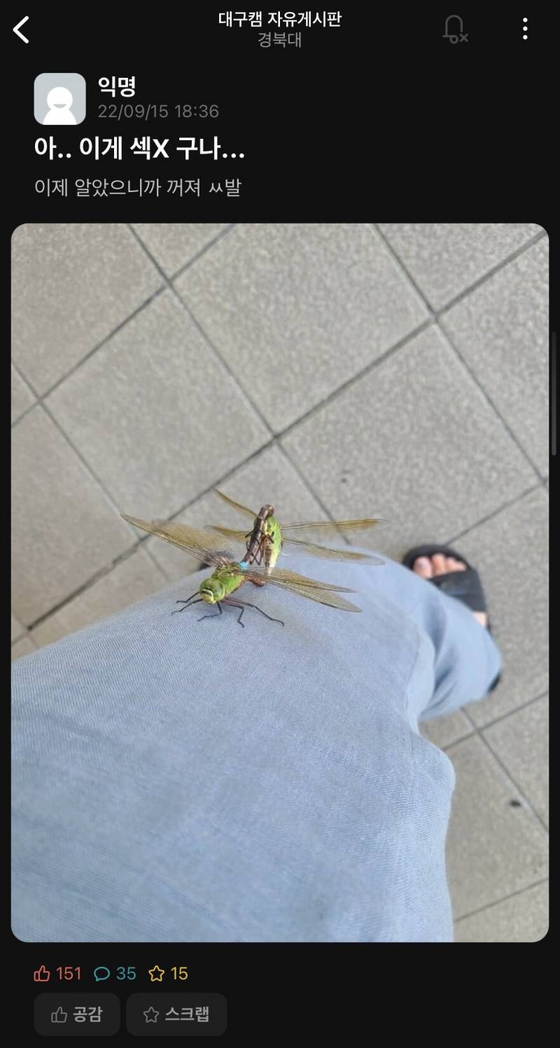 아... 이게 섹X구나....eta - 인스티즈(instiz) 인티포털 카테고리