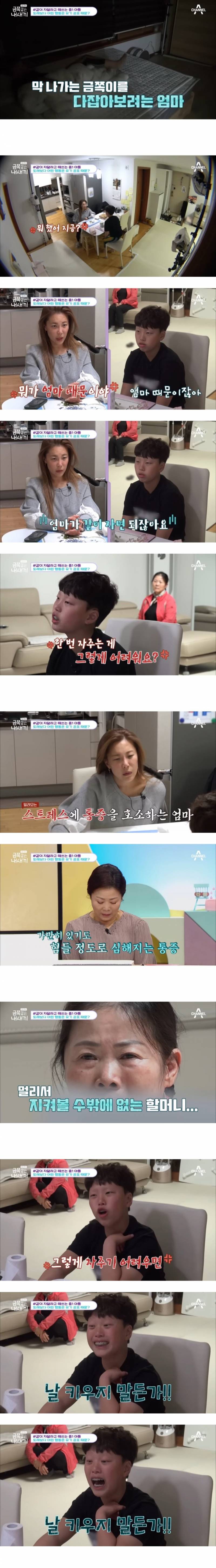 어제 자 정말 역대급이였다는 금쪽이…JPG - 인스티즈(instiz) 이슈 카테고리