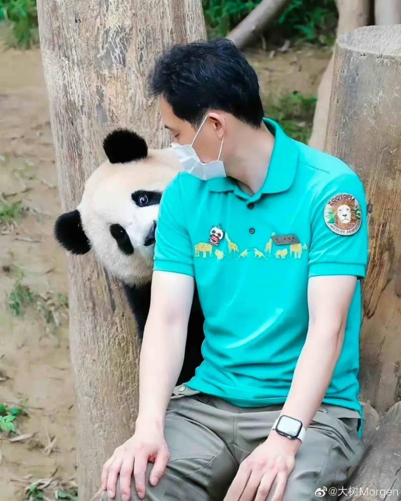 푸바오 작은할부지 진짜 로맨틱하심ㅠㅠㅠㅠ 인스티즈instiz 일상 카테고리 