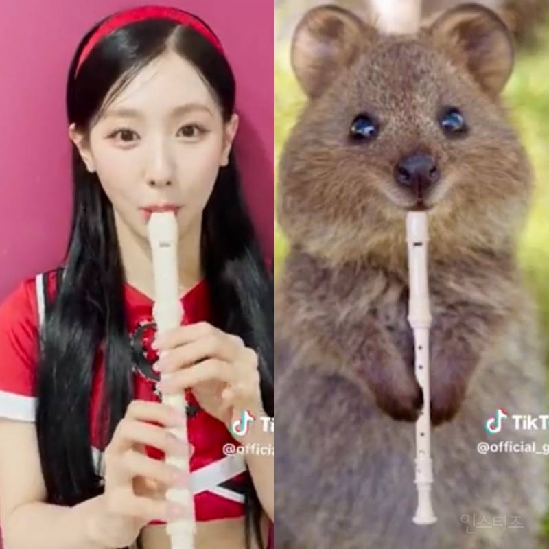 싱크로율 200%인 조쿼카 twt - 인스티즈(instiz) 이슈 카테고리