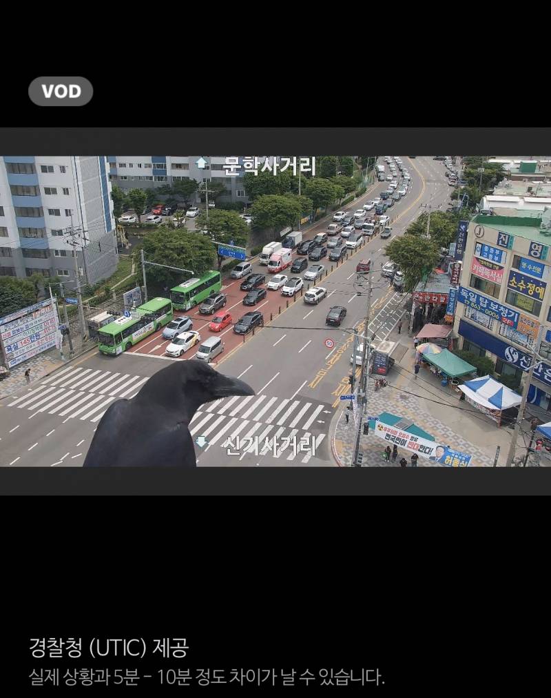 밖에 비오나보려고 cctv보는데 - 인스티즈(instiz) 익명잡담 카테고리