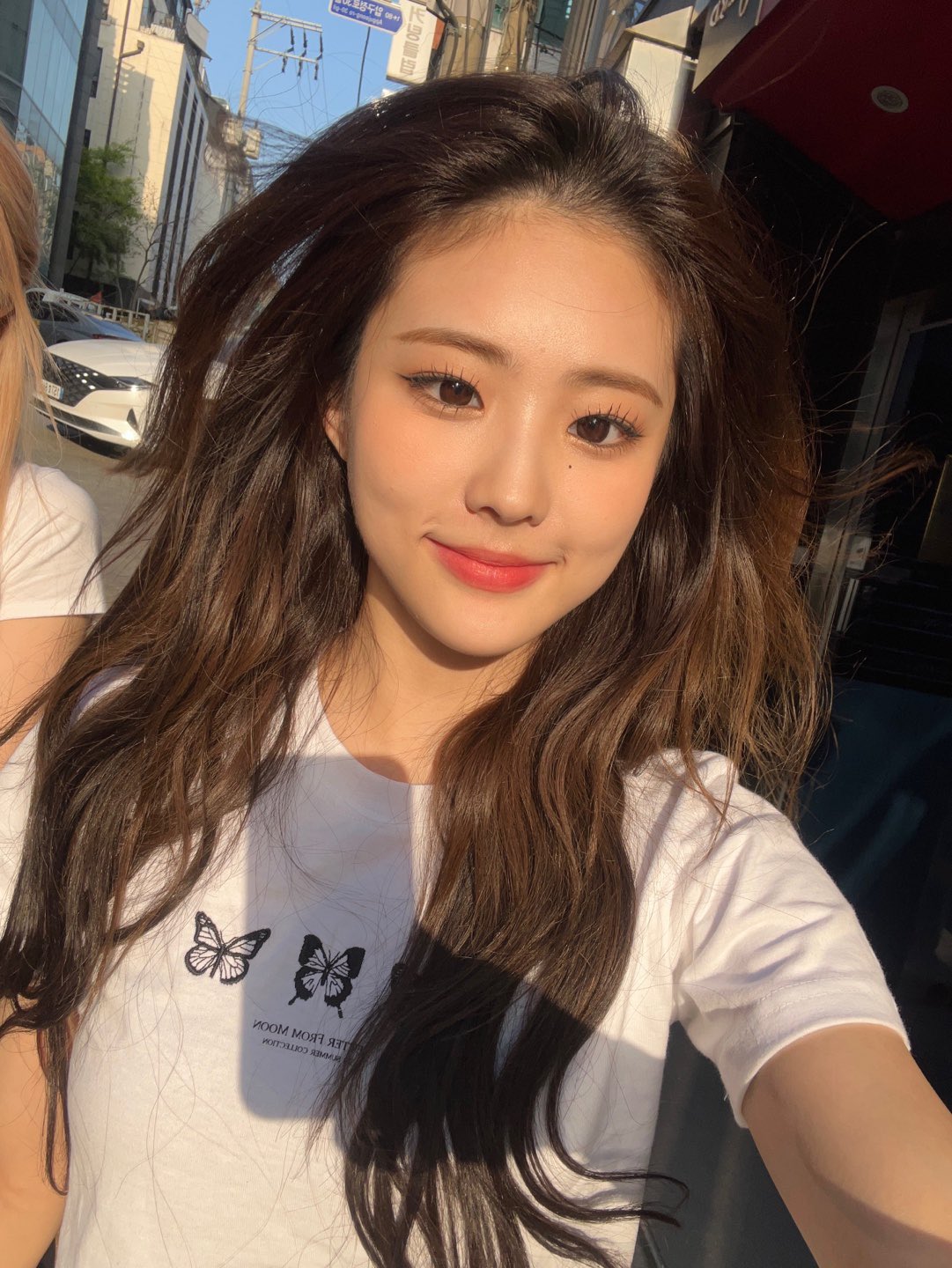 춤선 쫀득쫀득한 곰돌이 인스티즈 Instiz 이슈 카테고리