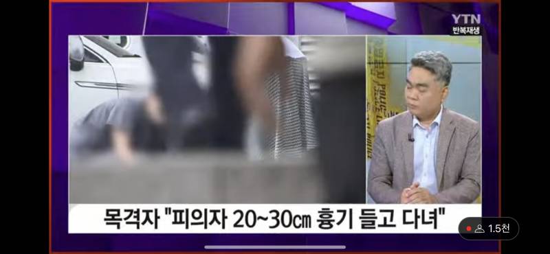 20cm~30cm로 보이는 흉기 들고 다녔다네 - 인스티즈(instiz) 일상 카테고리