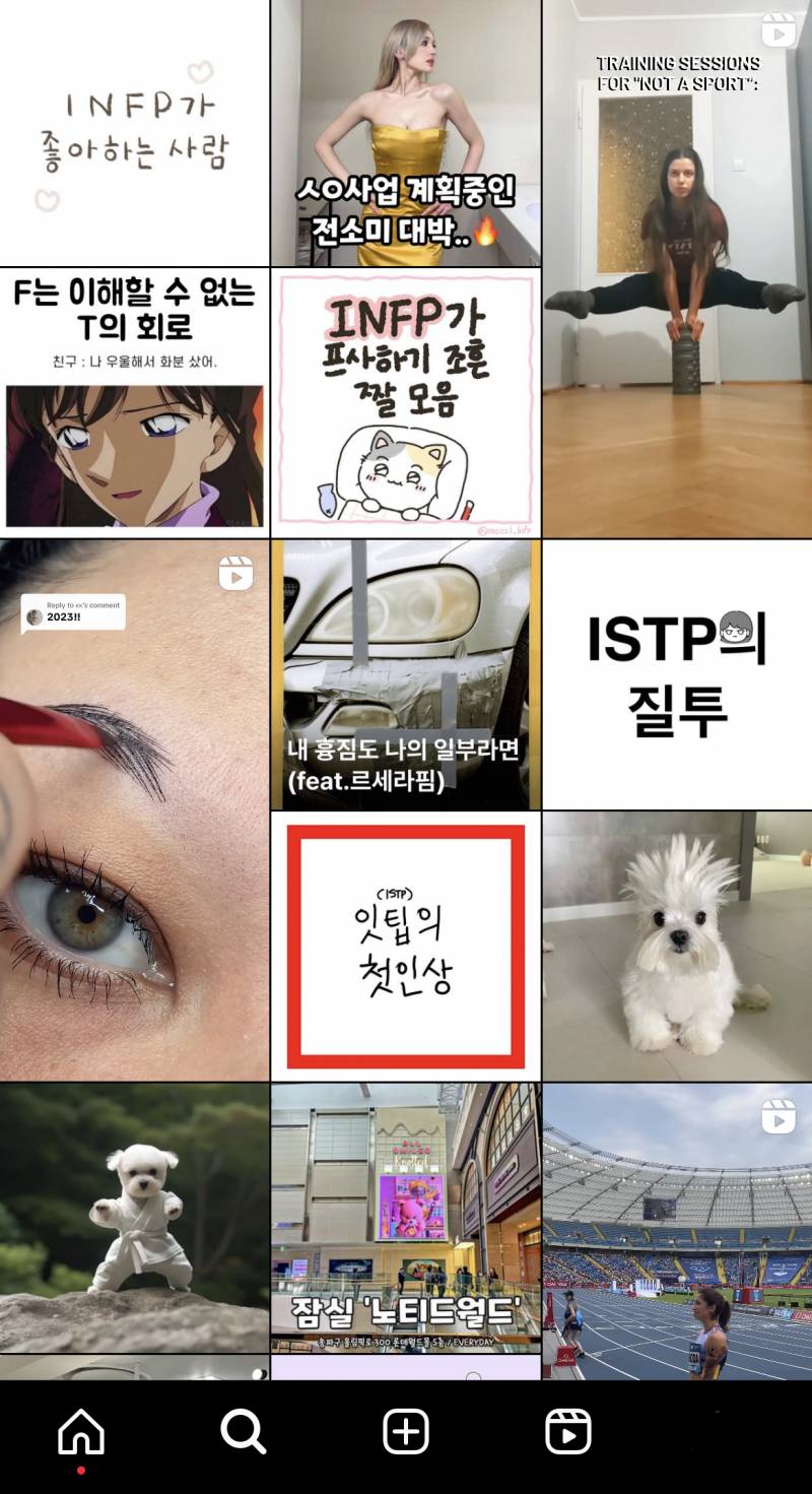 Istp 짝사랑하는 infp의 인스타 검색창 - 인스티즈(instiz) 일상 카테고리