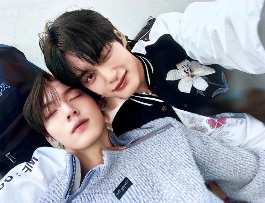 [잡담] 제베원 삼복즈 셀카 보고가세용🥓🍑 - 인스티즈(instiz) 연예 카테고리